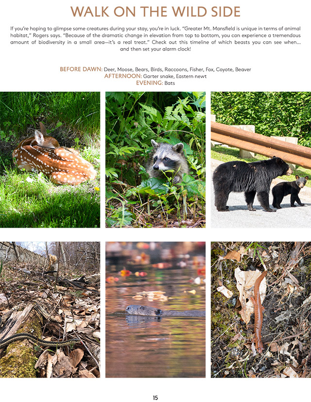 Spruce Peak Real Estate | Spruce Peak | Formerly Stowe Mountain Lodge