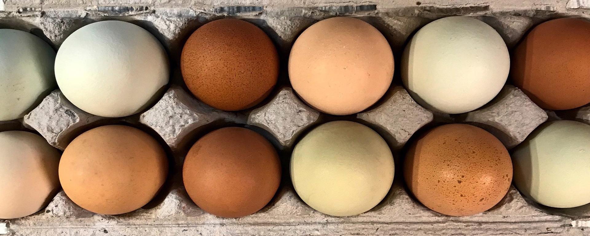 Spruce Peak at Stowe Vermont | Spruce Life | From Vermont Farm to ...